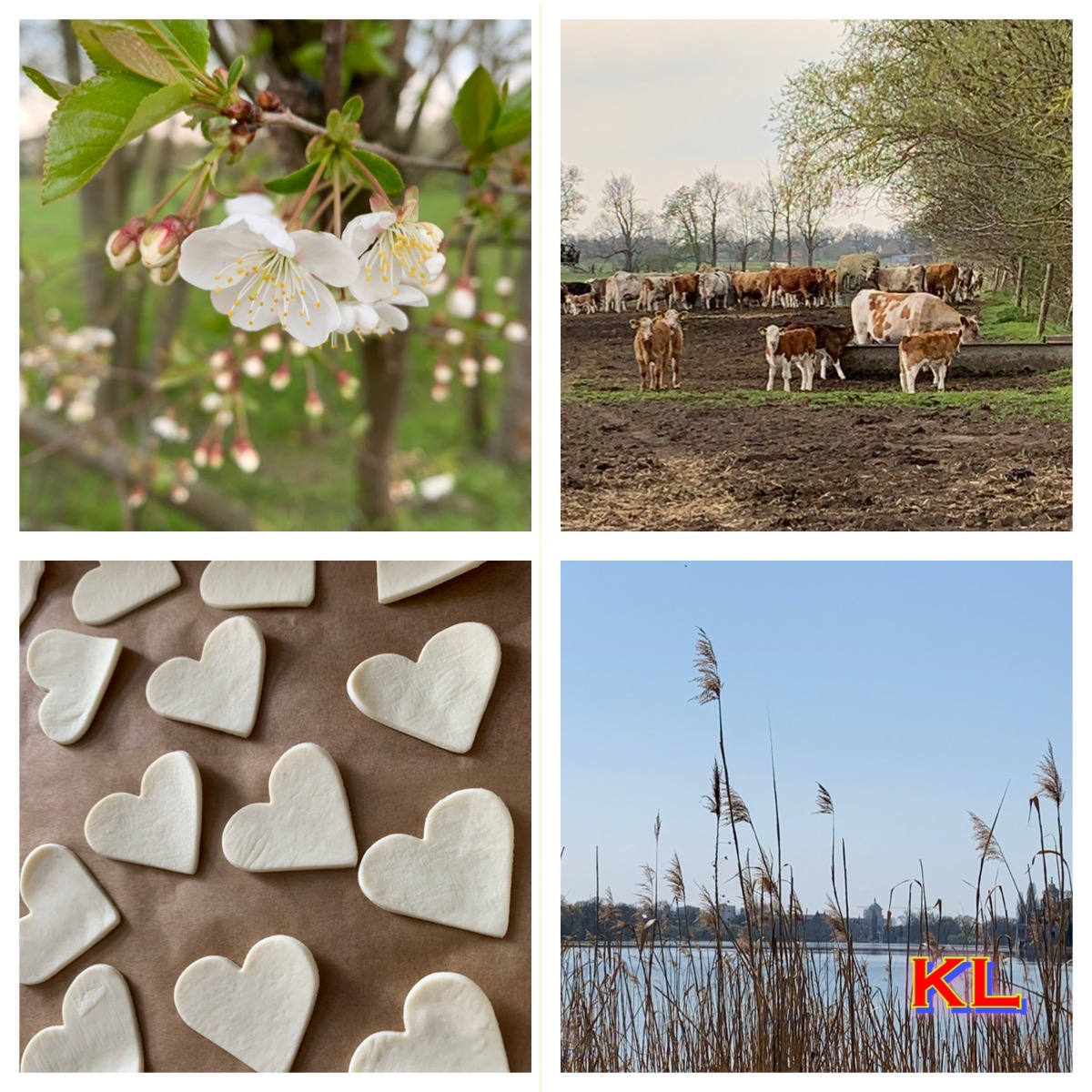 Unser kulinarisches Erbe - Katrine Lihn | Gastrosophin aus Potsdam